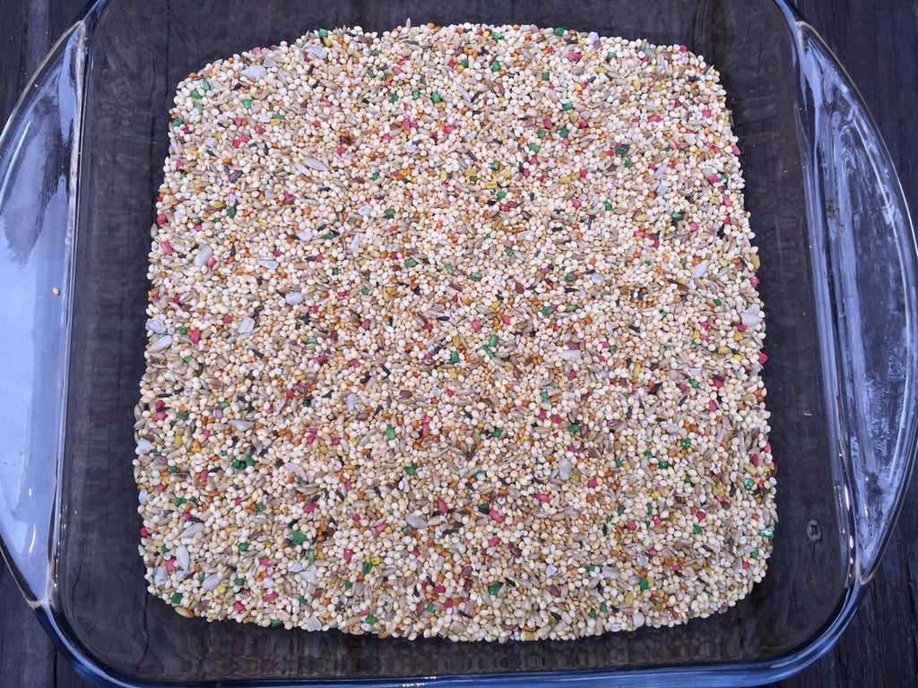 Higgins Dynasty Vita Finch 25lb bulk Finch seed mix finch diet ...