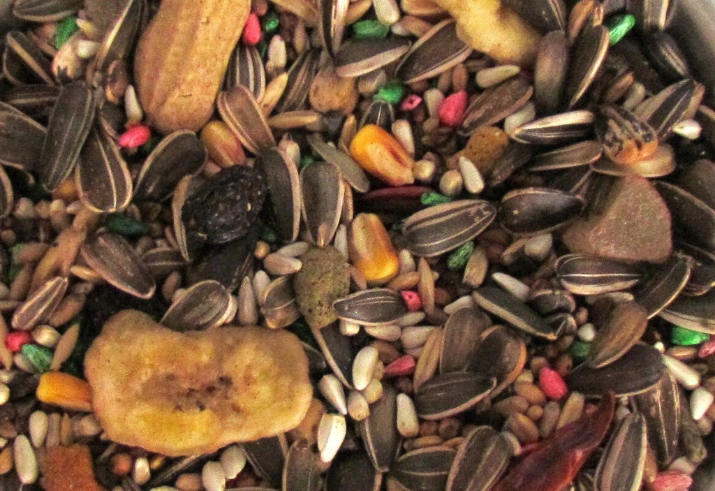 Dynasty parrot seed mix parrot food bulk – Villages pet products